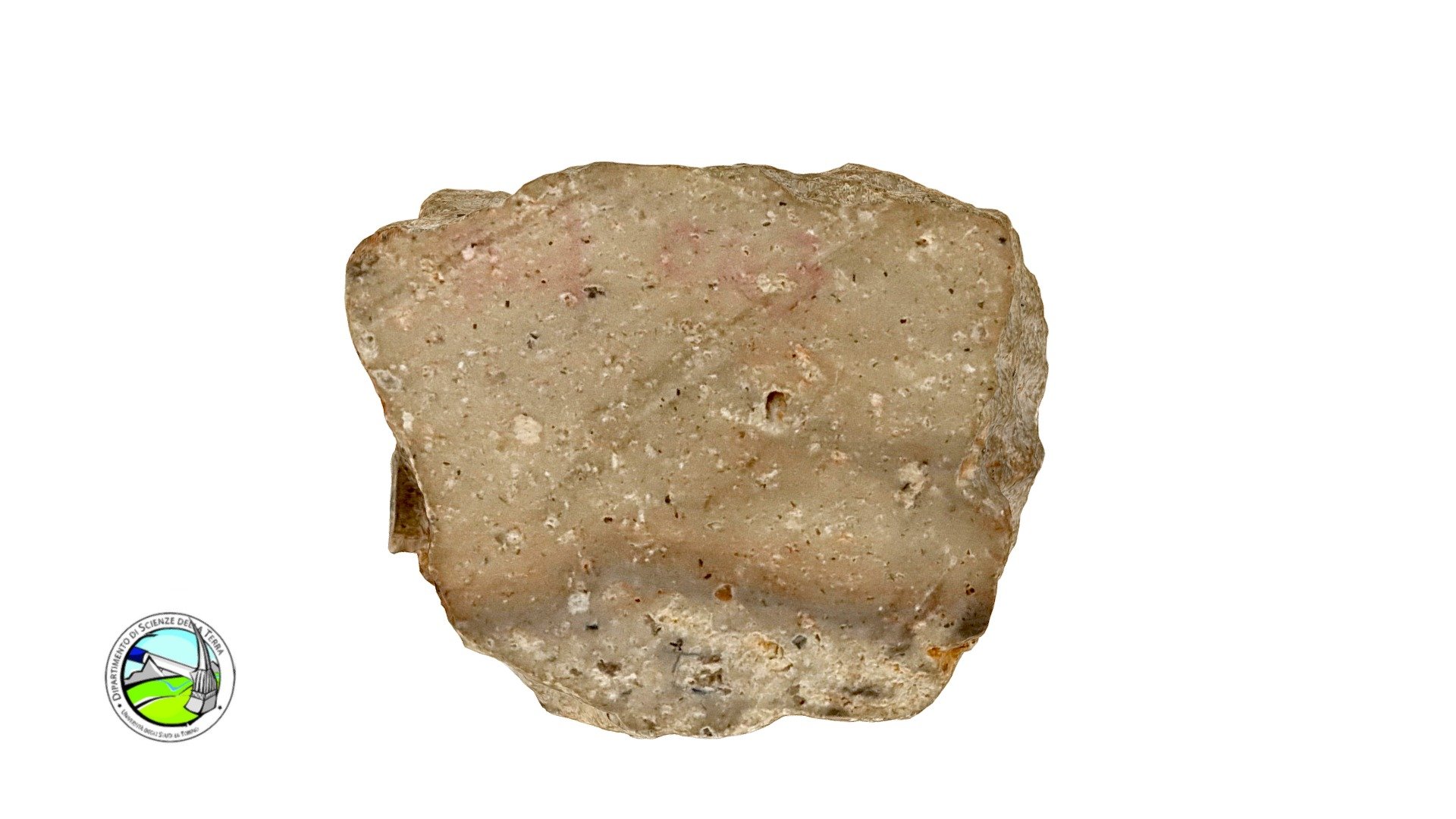 V13 - Quarzo-trachite porfirica - 3D model by Dipartimento di Scienze ...