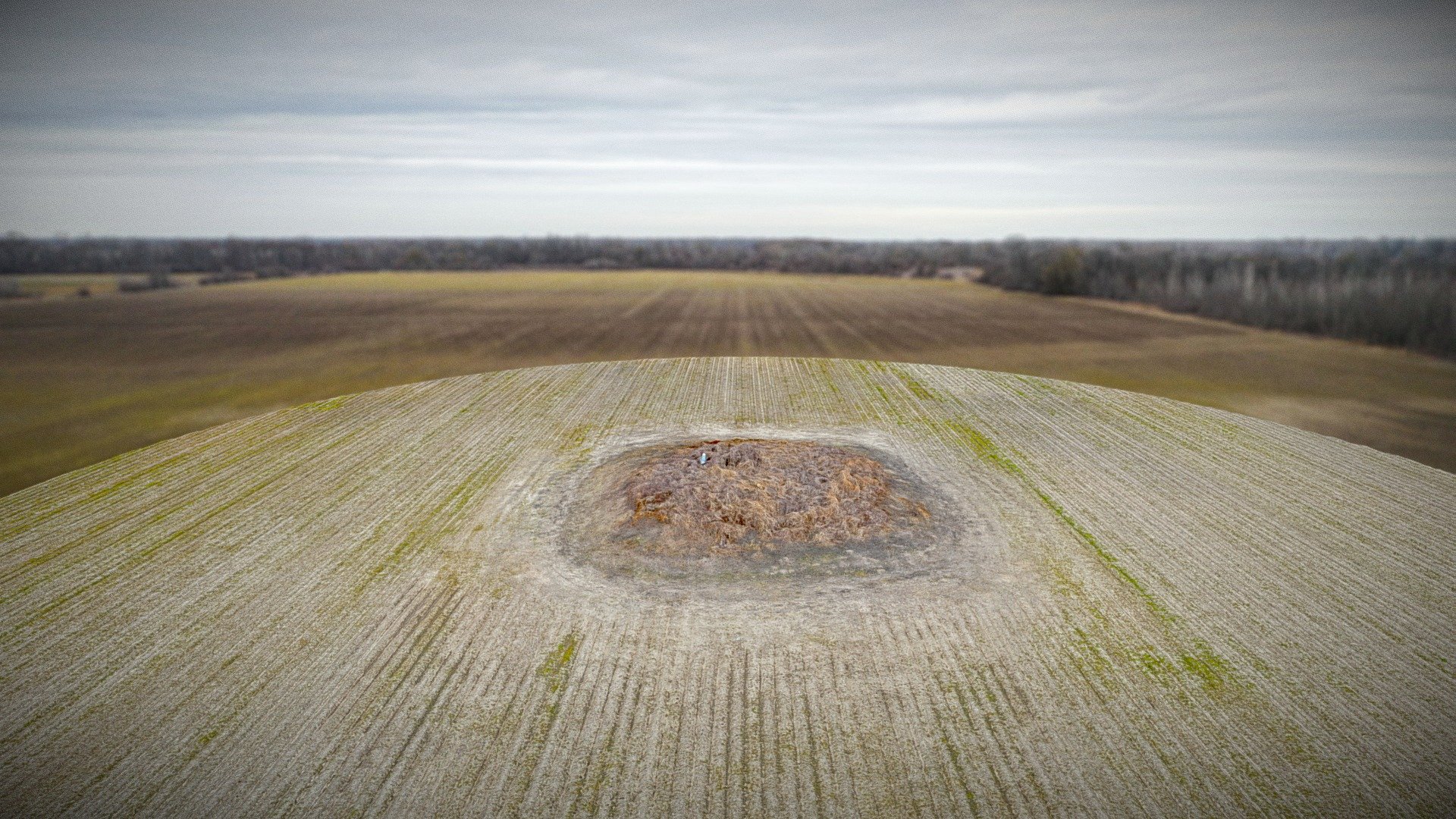 Muir Mound - Download Free 3D model by Frank McMains (@frankmcmains ...