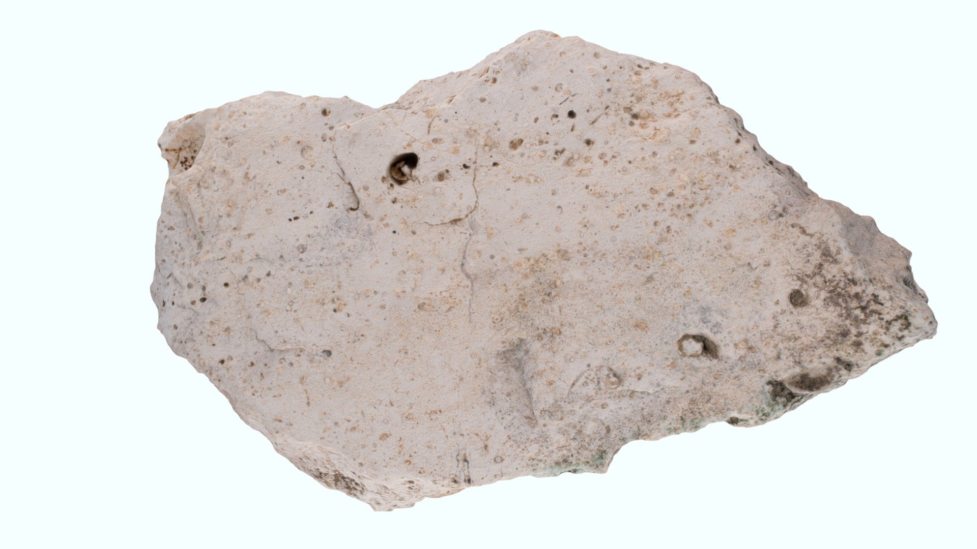 Calcaire siliceux à oogones de characée - Download Free 3D model by ...