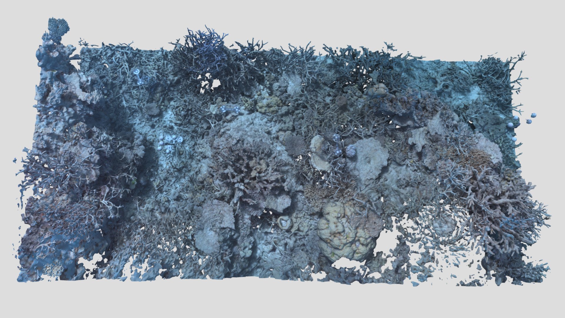 Davies_LA1S_P3_202101 - 3D model by EcoRRAP (@AIMSEcoRRAP) [5178670 ...