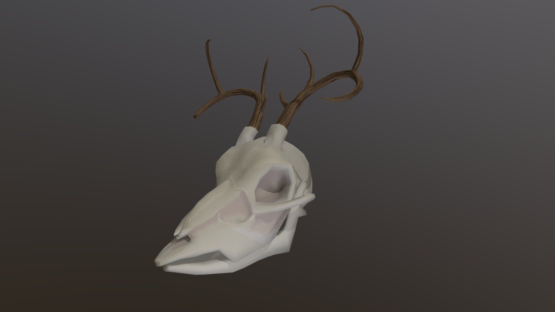 Deer Skull - Download Free 3D model by intrepidolivia [517995b] - Sketchfab