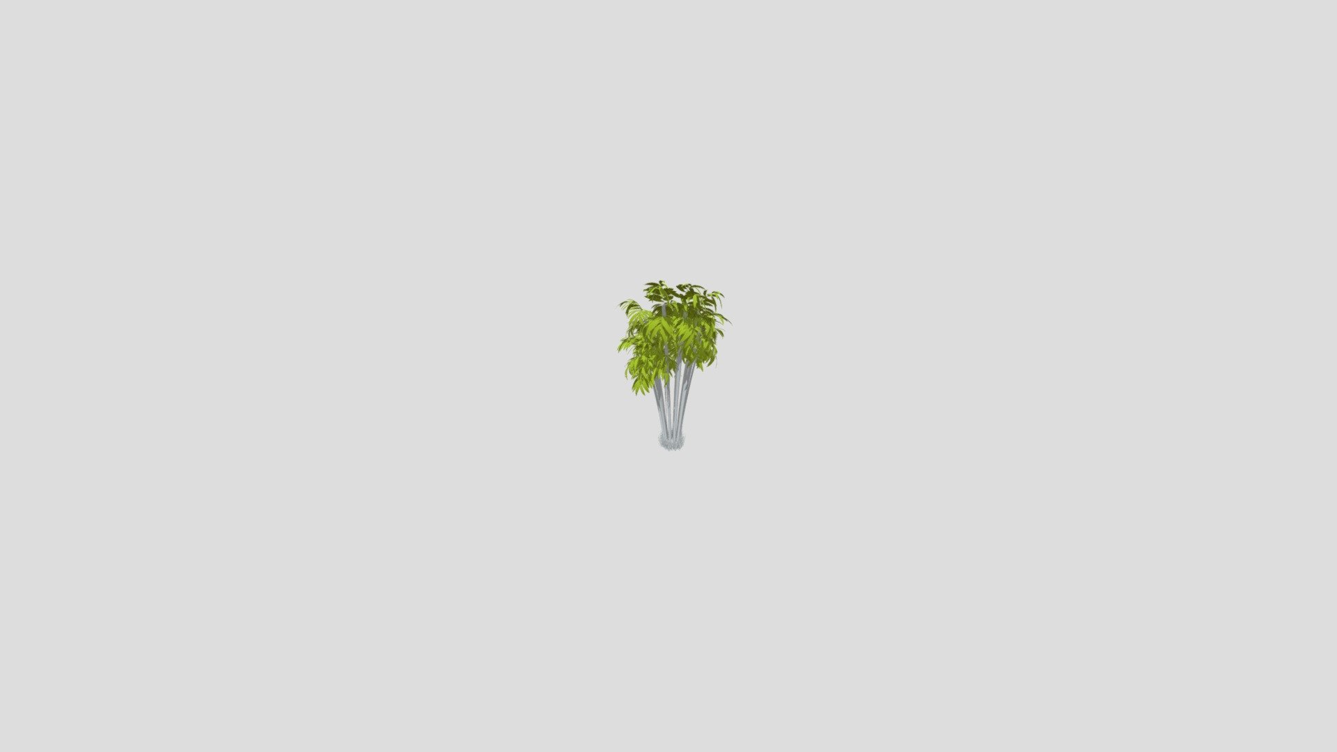 Bamboo Tree - 3D model by Rowdyy.Satya.Raj [5179ee9] - Sketchfab