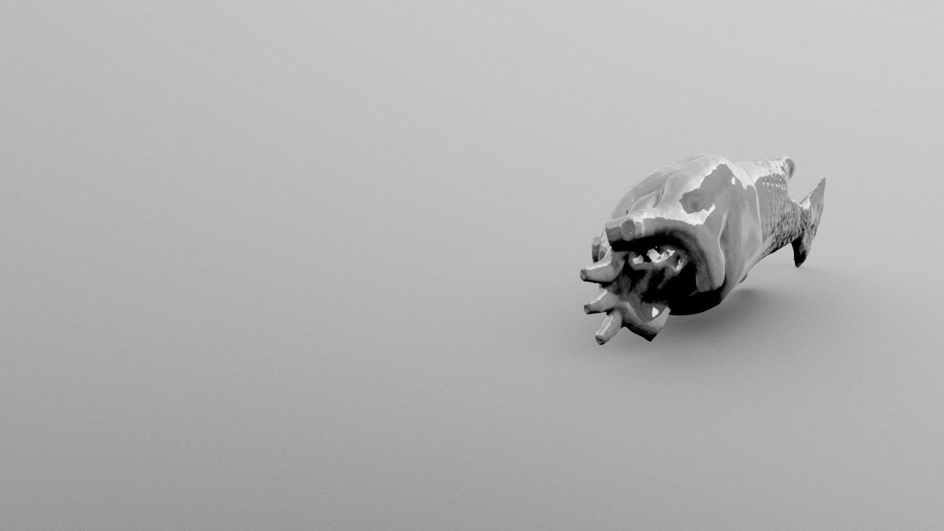 Heart Fish - Download Free 3D model by nadassor [5183daf] - Sketchfab