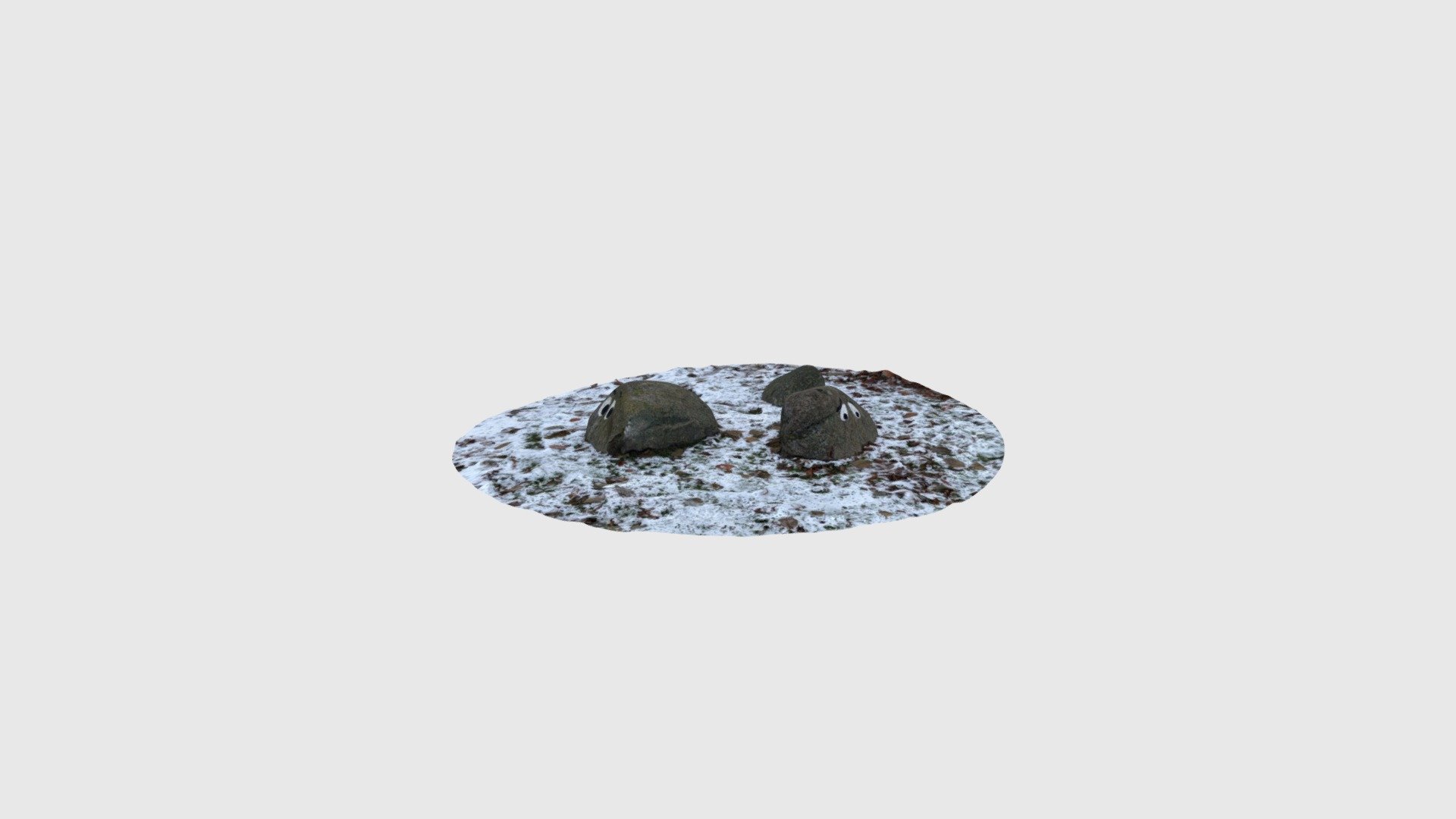 Stones with eyes, PBR - Buy Royalty Free 3D model by Foto.Pelka (@Jakub ...