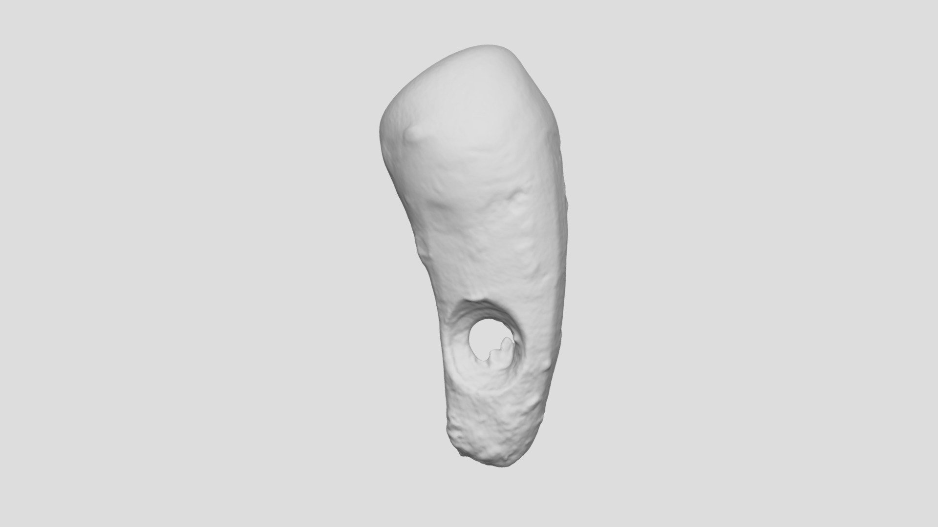Exp. 72 Perforated - Download Free 3D model by Josh.London [518fedd] - Sketchfab
