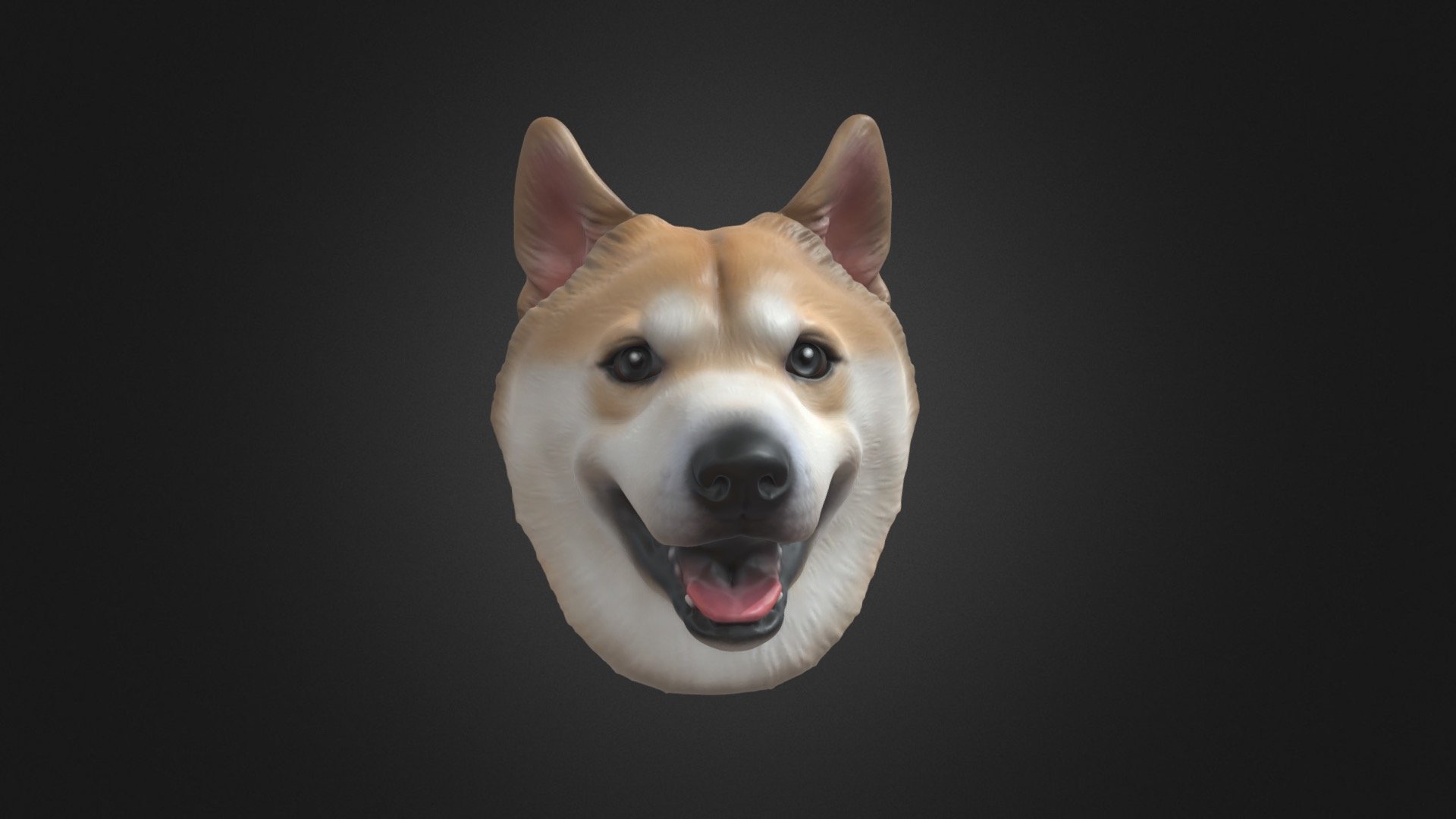 Sandy's Shiba Inu model - 3D model by Seed by mi (@seedbymi) [5195117 ...
