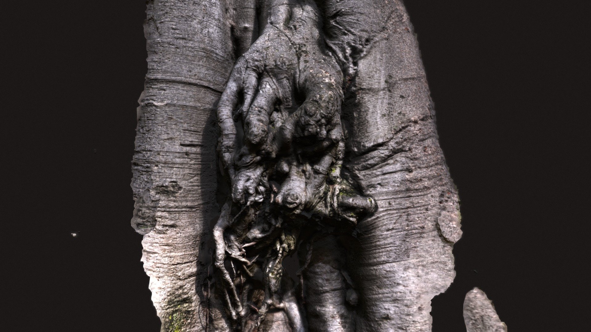 Tree Growth - 3D model by mimobase [51a1247] - Sketchfab