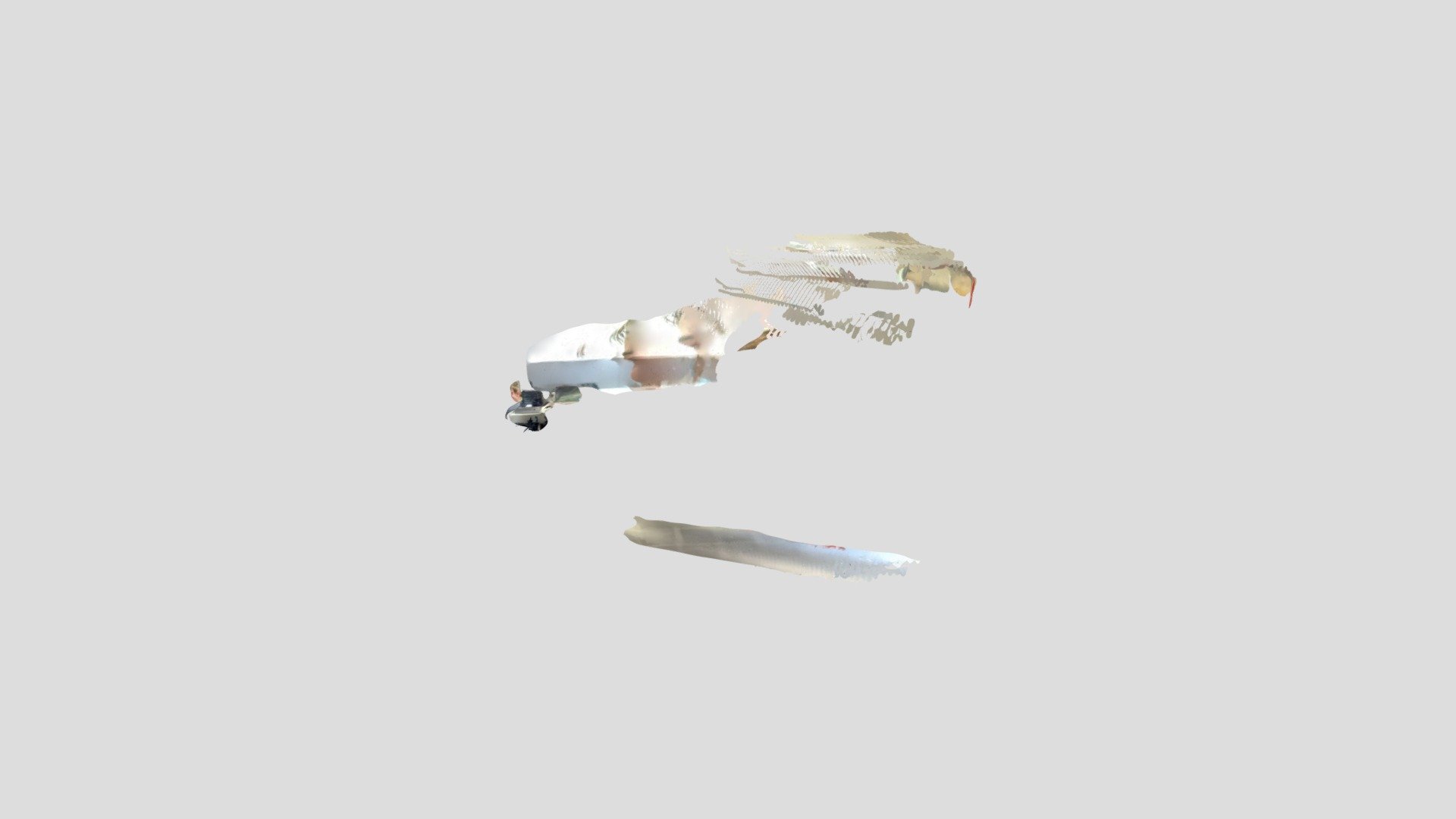 Polycam capture - Download Free 3D model by Myst1cF0x [51a6e5b] - Sketchfab