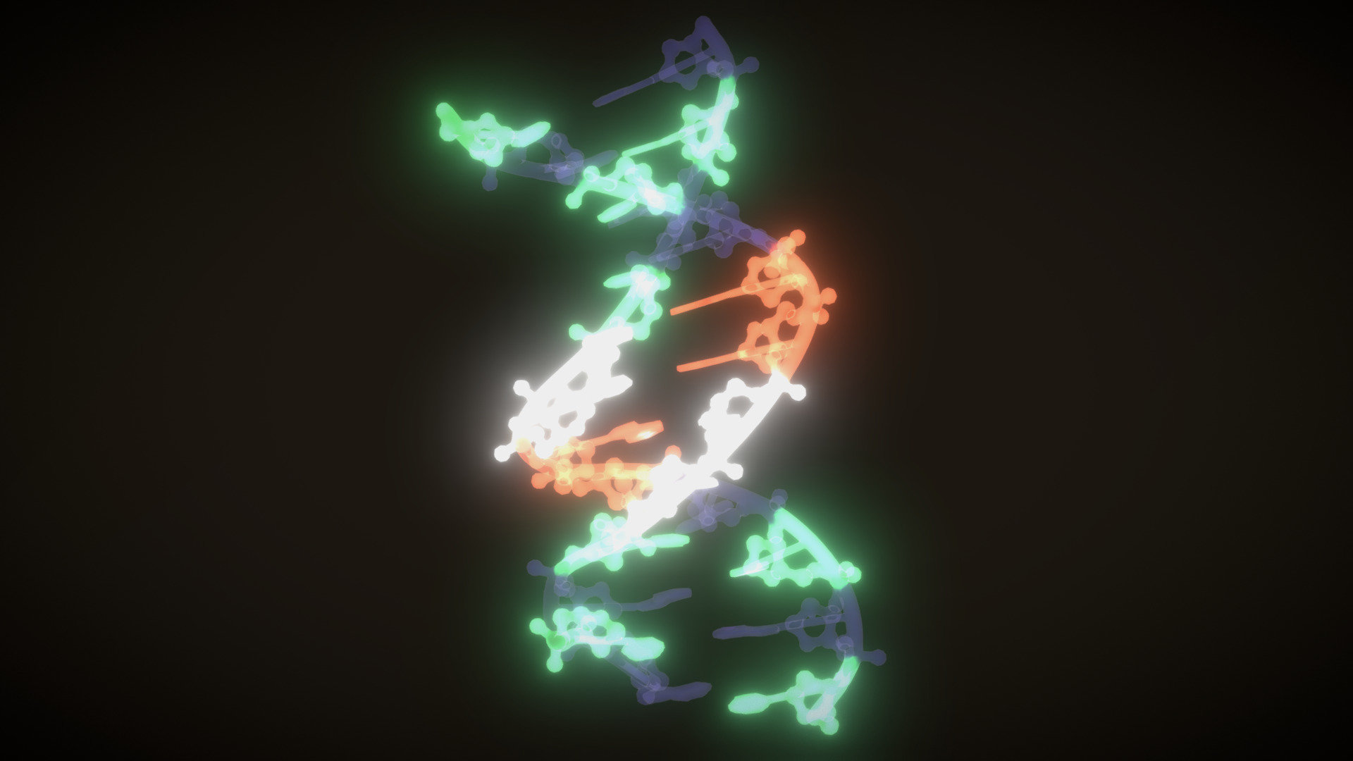 protein/2 1BNA - Download Free 3D model by n- [51ae95b] - Sketchfab