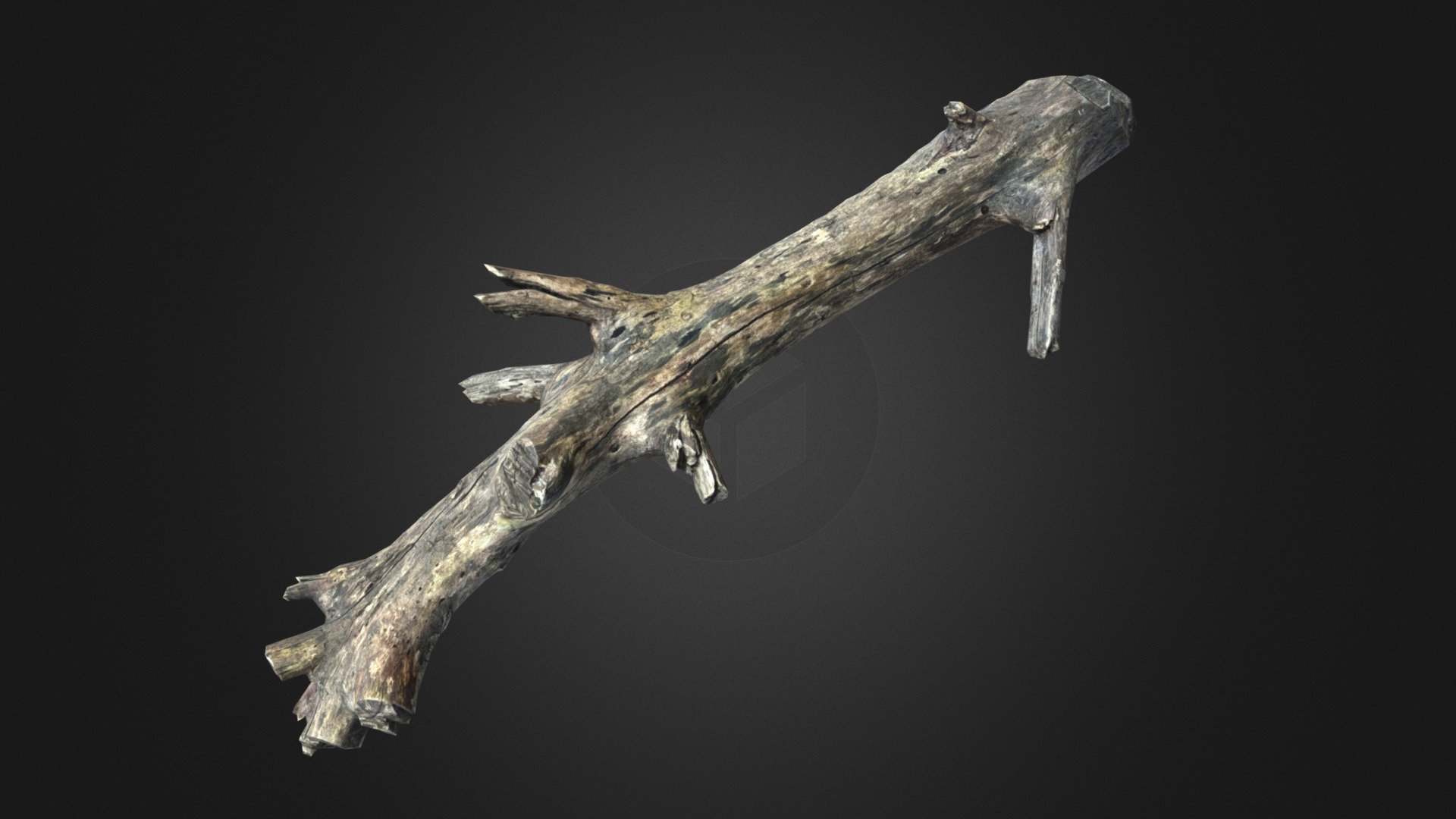 Realistic tree trunks with branches - Buy Royalty Free 3D model by ...