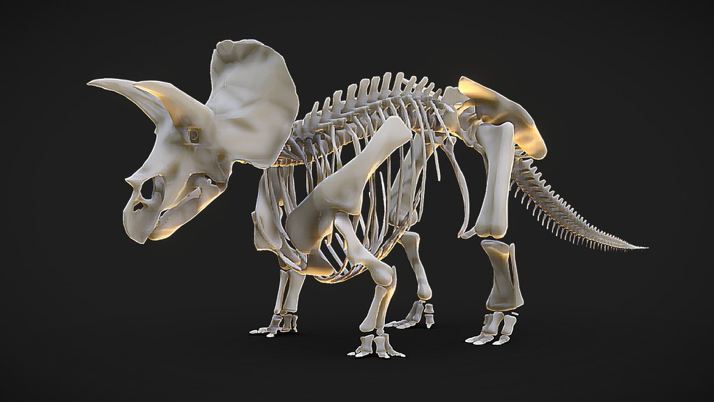 Dinosaur Skeletons - A 3D model collection by ASM042186 - Sketchfab