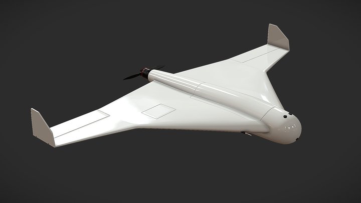 Wings 3D models - Sketchfab