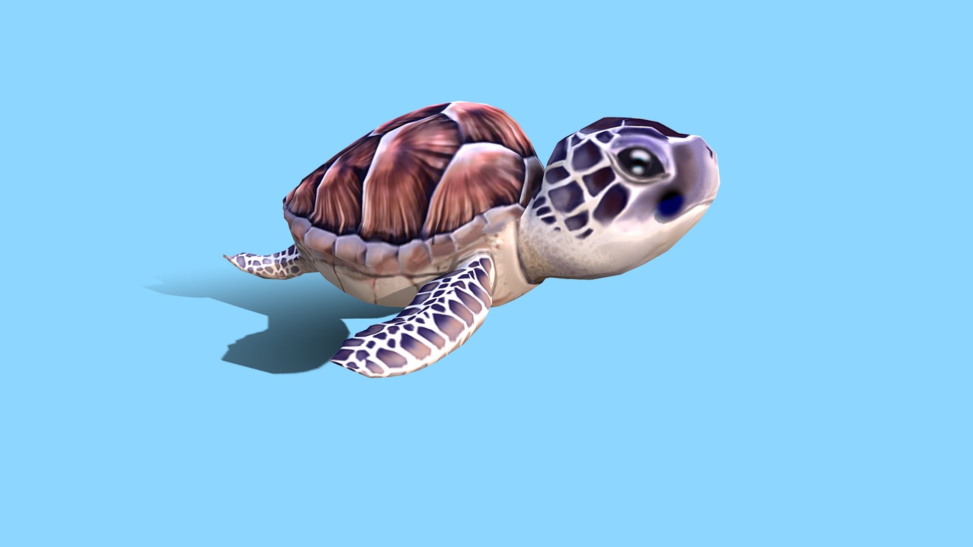 Sea Turtle - Buy Royalty Free 3D model by SB studio (@yiminlee0211 ...
