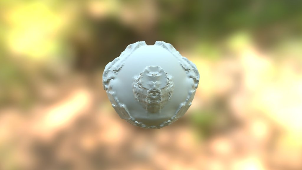 Sculptris First - Download Free 3D model by Petit (@bertil) [51ba525 ...