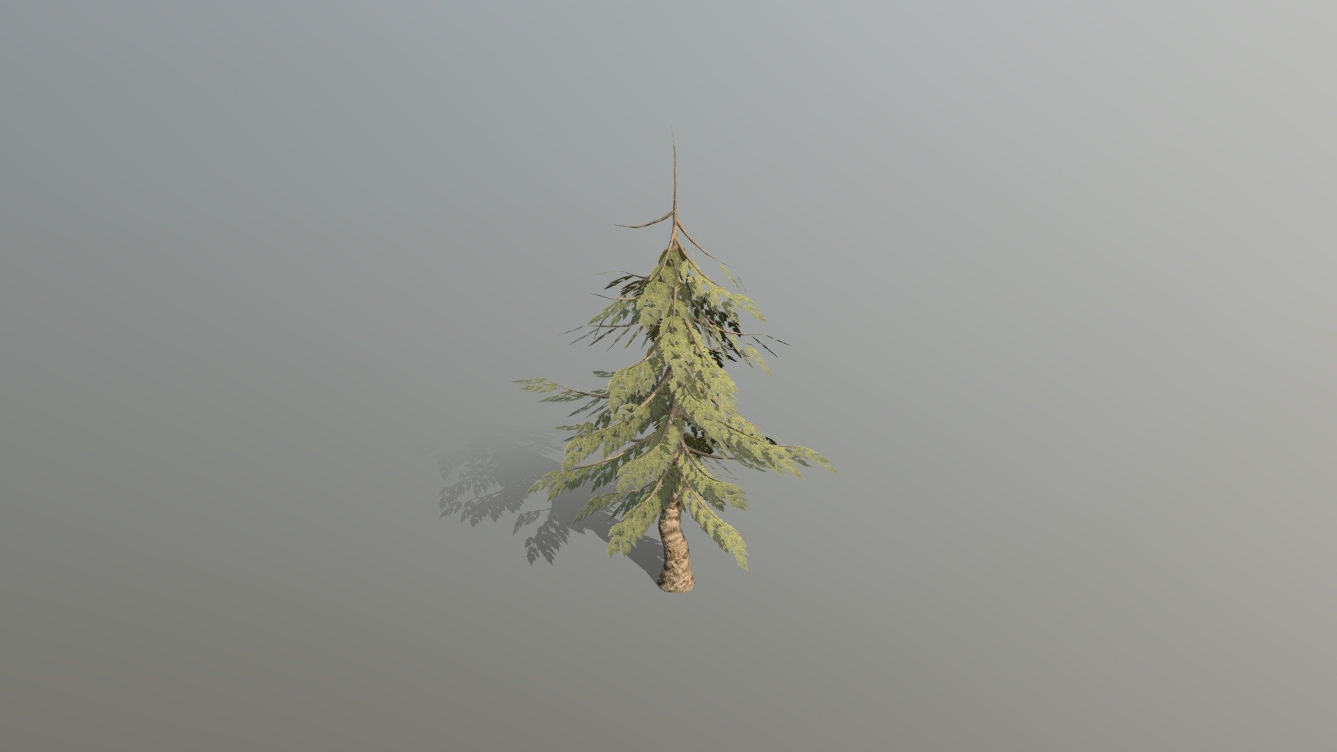 Simple Pine Tree - Download Free 3D model by Natural_Disbuster ...