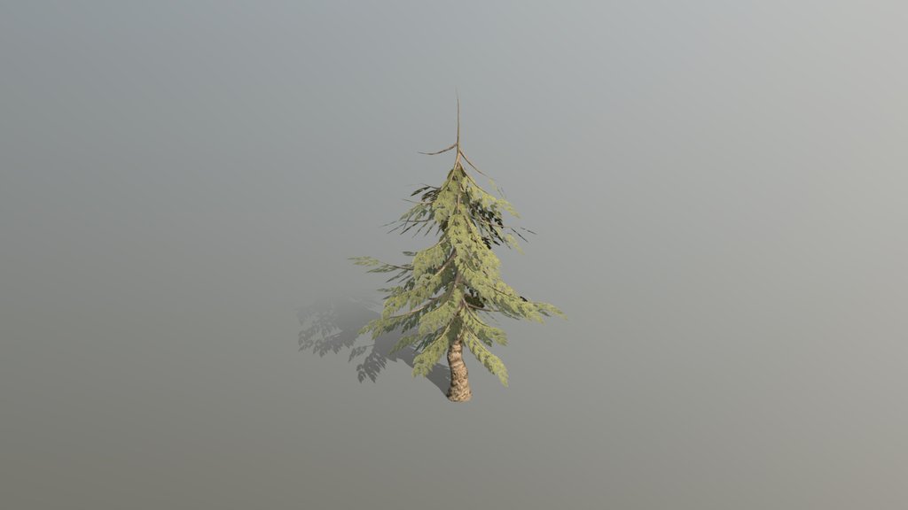 background - A 3D model collection by demidrew - Sketchfab