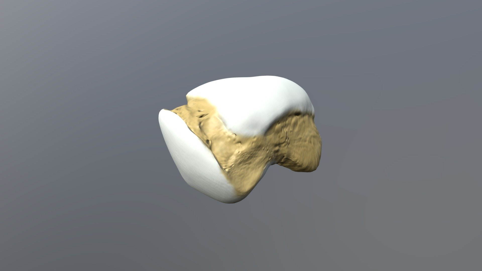 Talus - Buy Royalty Free 3D model by humantouchillustration [51bfc69 ...