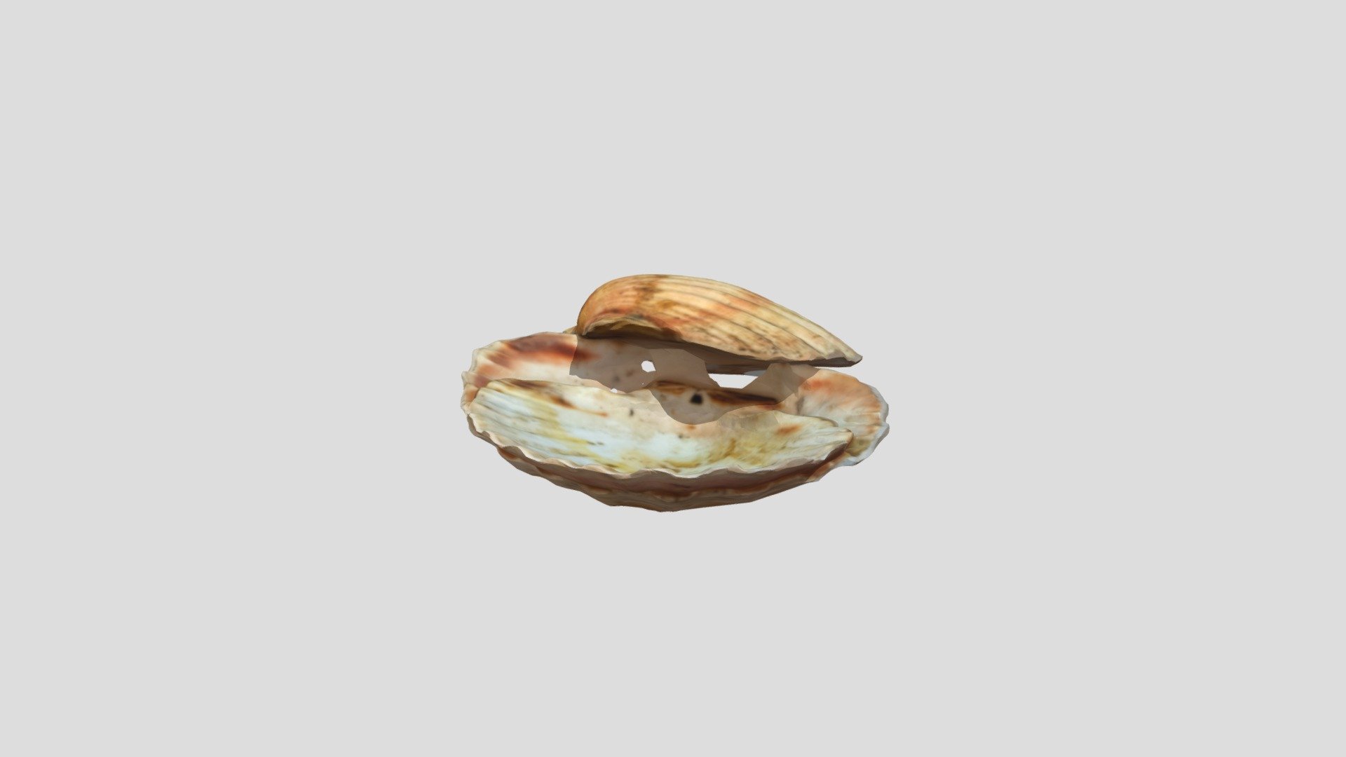 Clotxines - Download Free 3D model by trevol_lab [51cacda] - Sketchfab