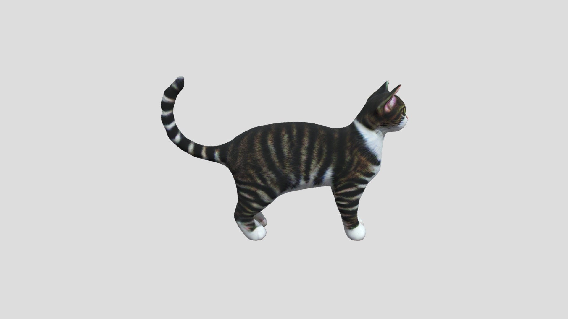 cat - Download Free 3D model by toti.shroom [51cc3bf] - Sketchfab