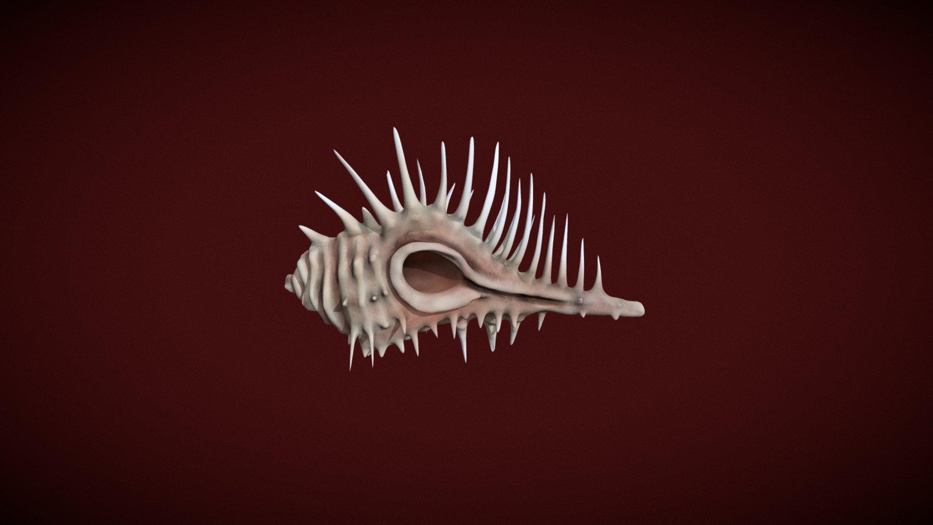 Murex - 3D model by EVE3D UNAM (@eve3d_unam) [51d0a2c] - Sketchfab