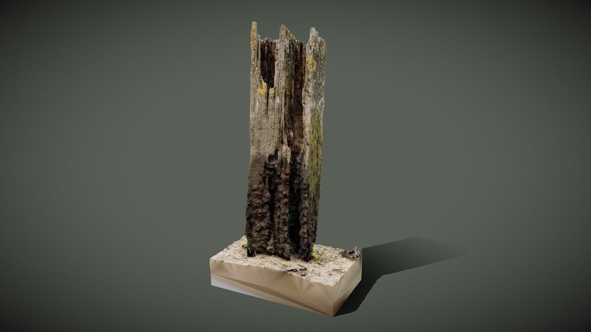 Rotting wooden post sticking out of a river bank - Download Free 3D ...