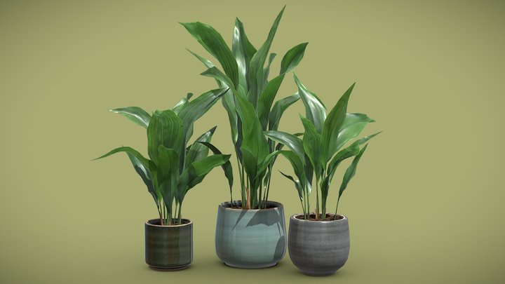 Indoor 3D models - Sketchfab