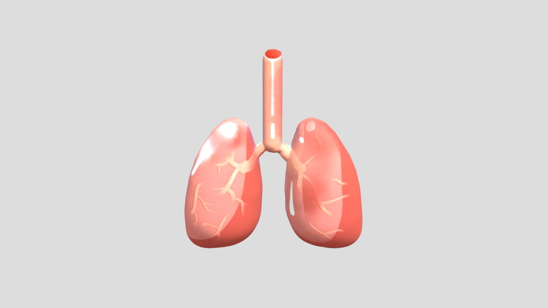 3D MELAROSALIANA_PARU-PARU - 3D model by melarosaliana [51e134c ...