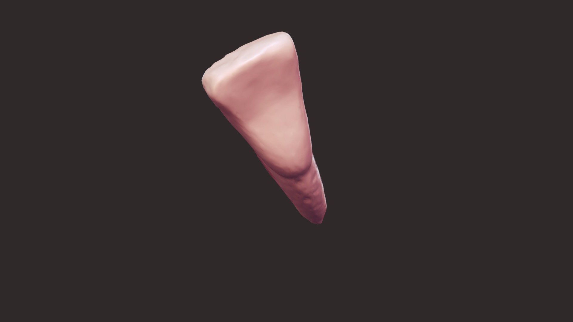 Tb 24-25 - 3D model by Virtual Dental Library (@bermanh) [51ece7f ...