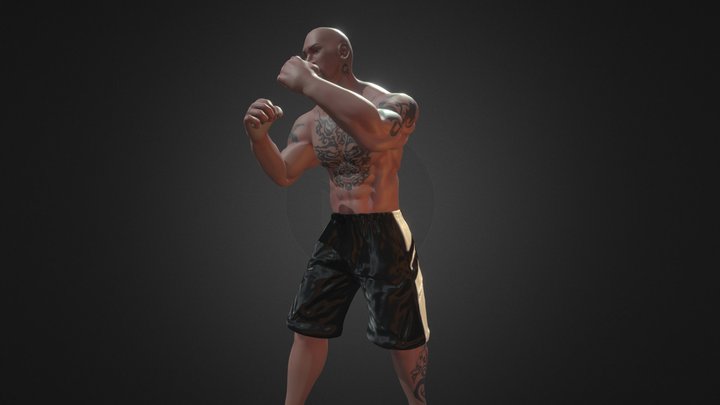Boxers 3D models - Sketchfab