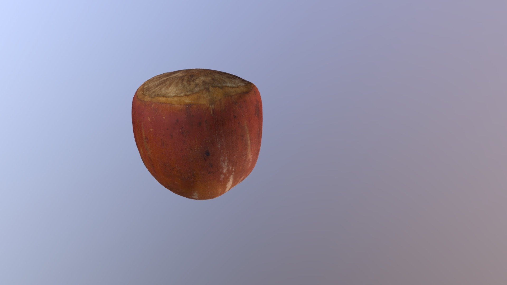 Hazelnut - 3D model by Moatazeno [51f752c] - Sketchfab