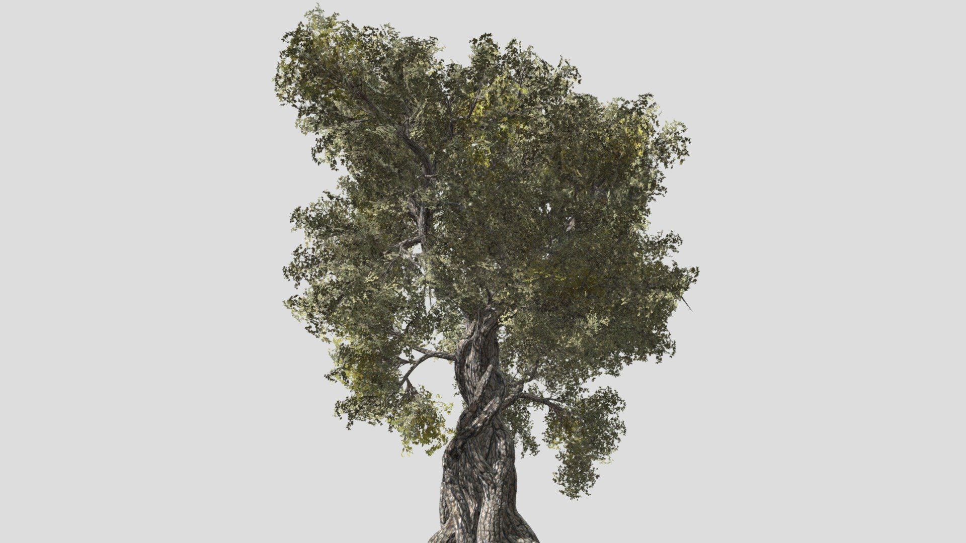 Tree (part3) - Download Free 3D model by YN14R [52026d1] - Sketchfab