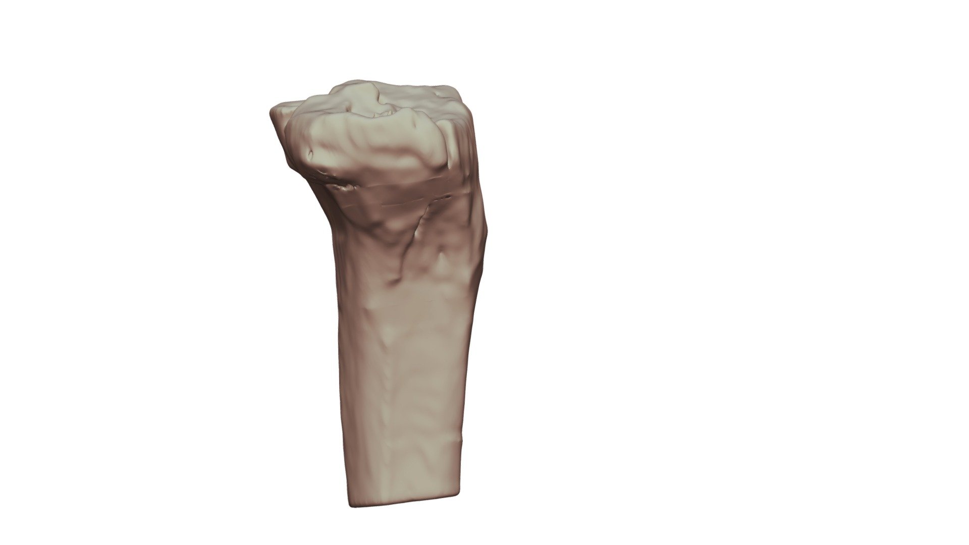 Segmentation_Segment_2 - 3D model by fusi [5203516] - Sketchfab