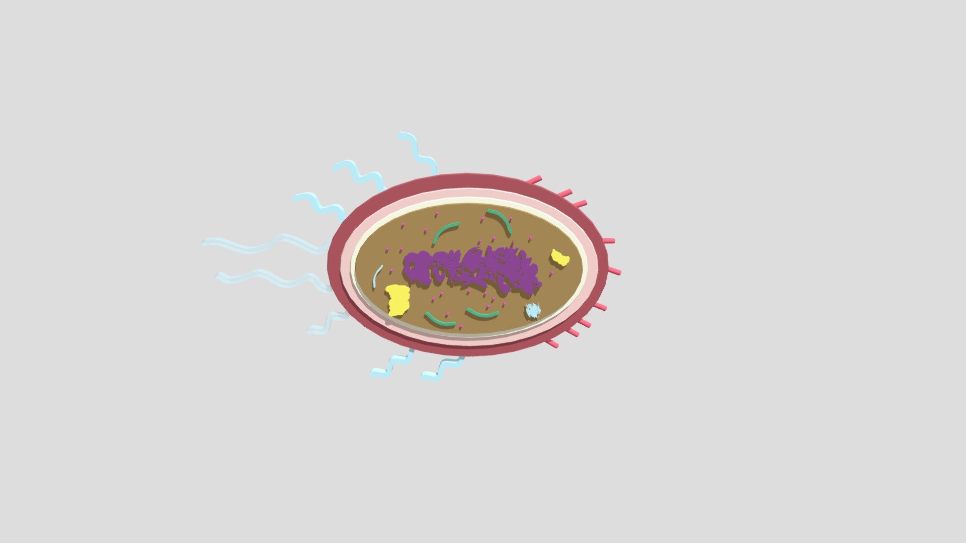 MICROUGHS_Salmonella Typhi_J.R.T.C - 3D model by Titanx1231 [5208e54 ...