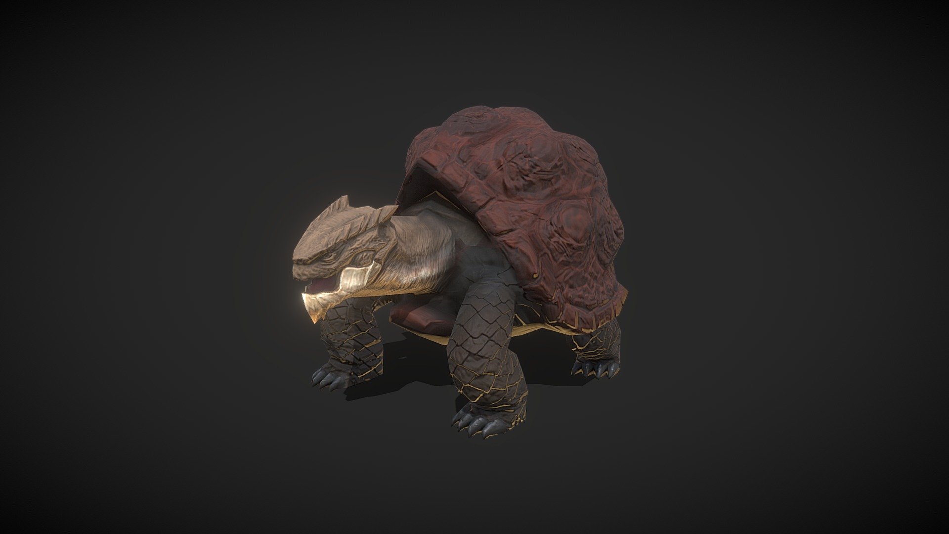 Animals: Turtle - 3D model by Klaudia Naumann (@klaudia_naumann ...