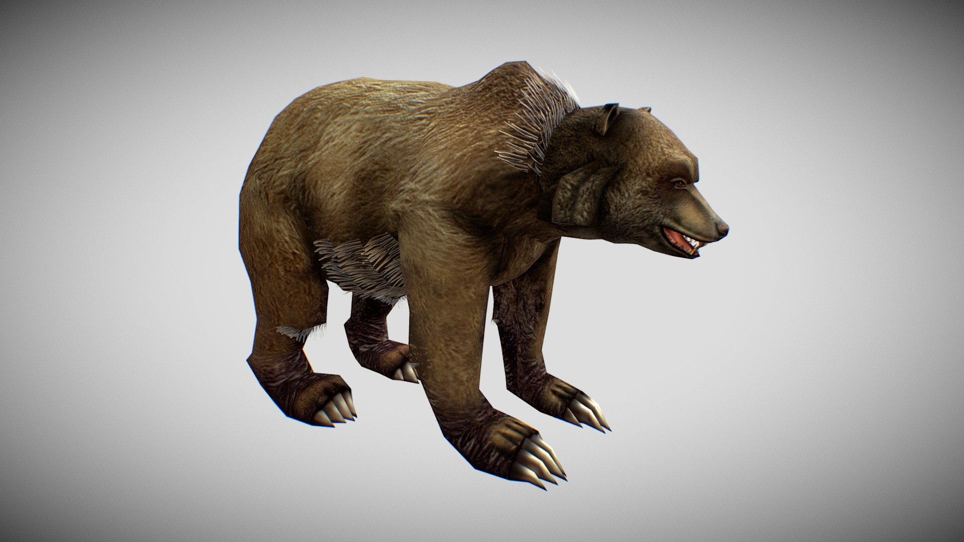 Bear - Download Free 3D model by djkorg [520ed23] - Sketchfab