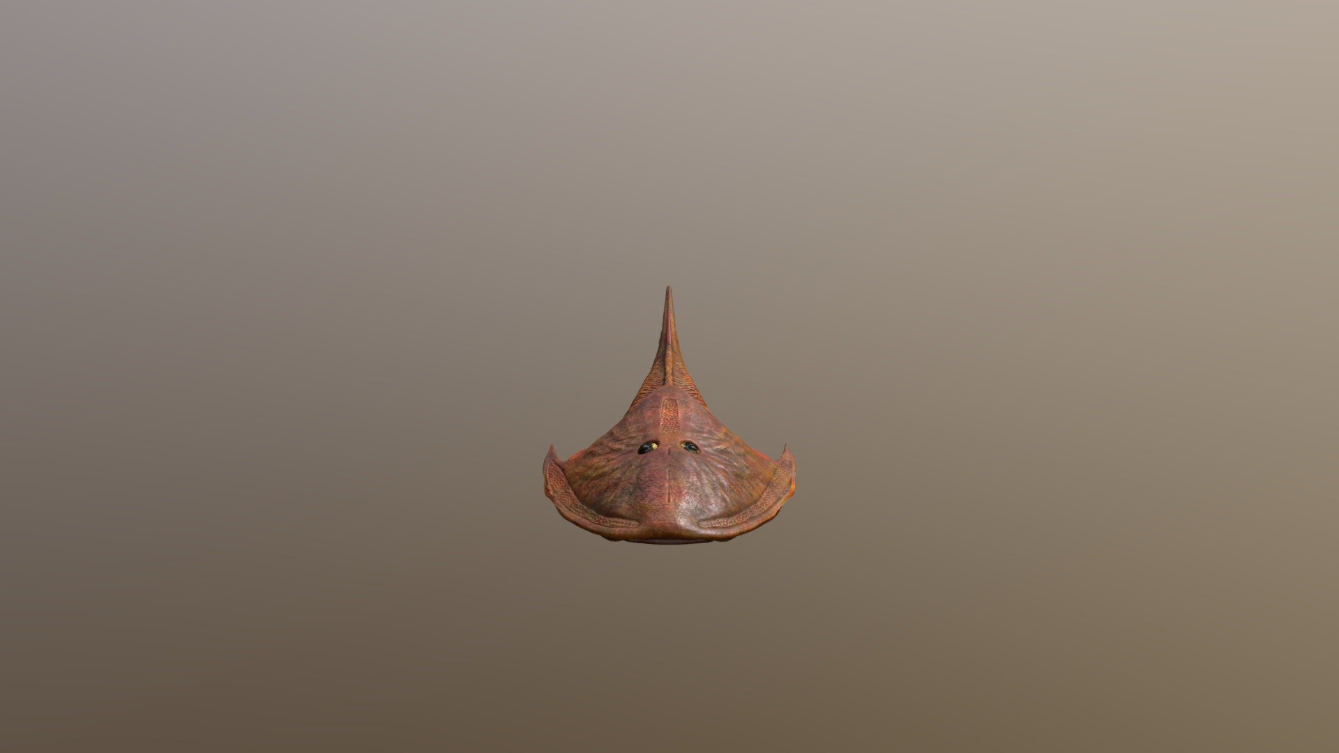 Cephalaspis - 3D model by anthodon [5210a28] - Sketchfab