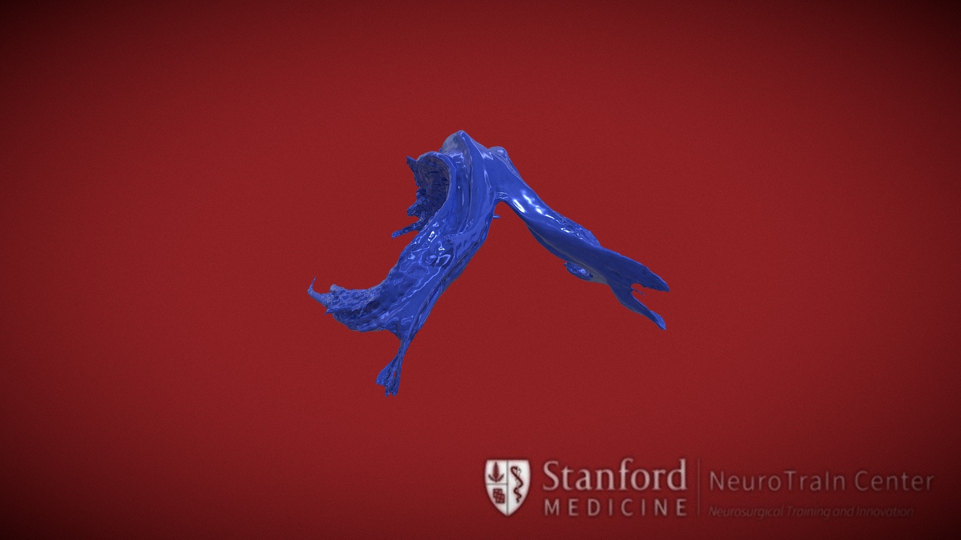 Fornix Low - 3D model by vv (@verav) [52126f5] - Sketchfab