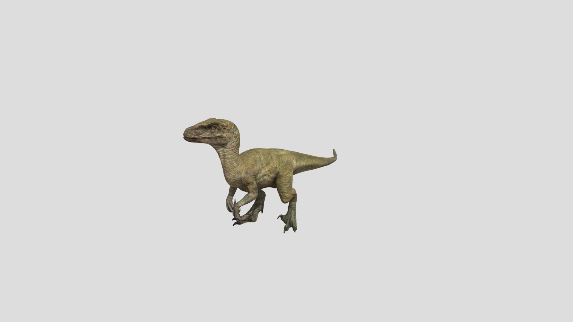 Dinosaur Velociraptor - Buy Royalty Free 3D model by Phil3D ...