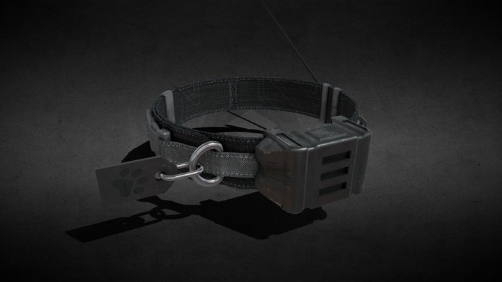 Collar 3D models - Sketchfab