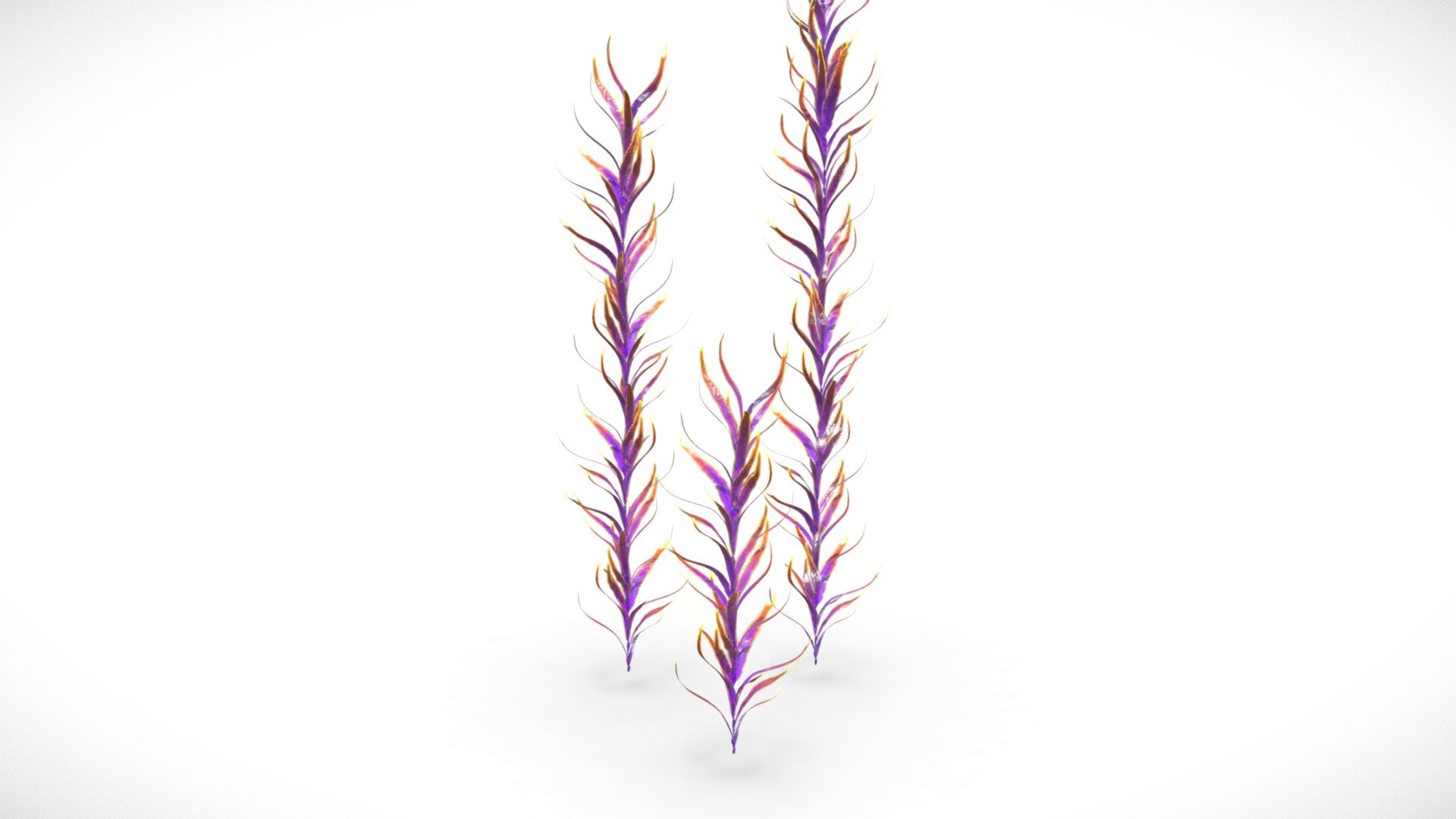 Alien Ocean Fantasy Plant - Alien Kelp - Buy Royalty Free 3D model by ...