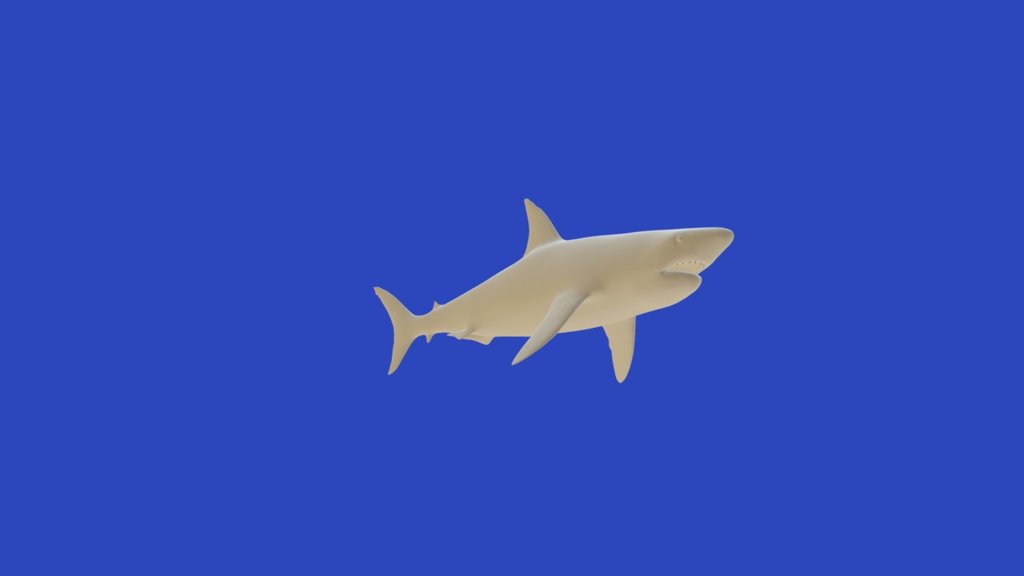 Shark - Rekin - Hai - 3D model by NeoPops [5224aad] - Sketchfab