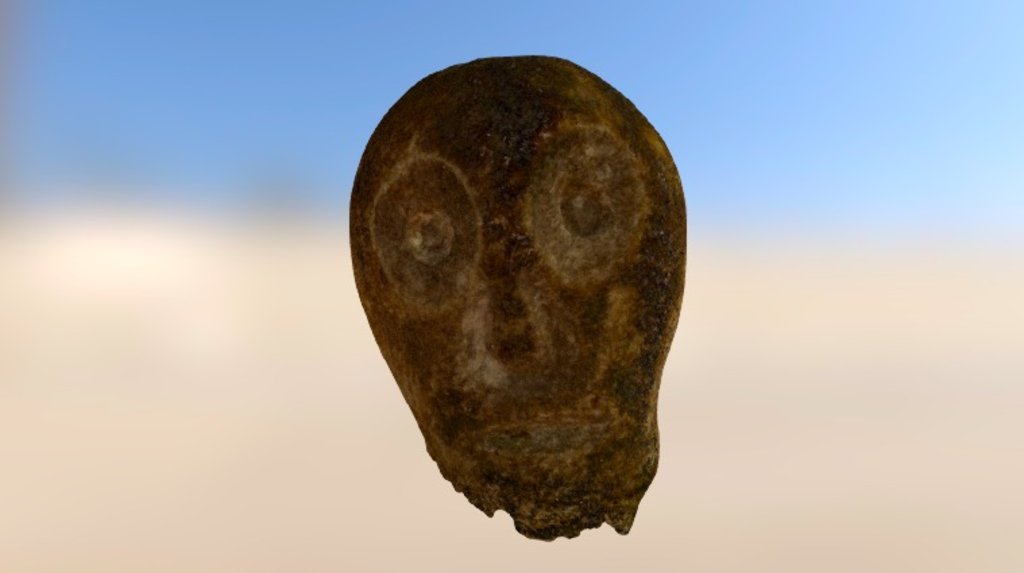 Carved Antelope Femoral Head (VCU_3D_696) - Download Free 3D model by ...