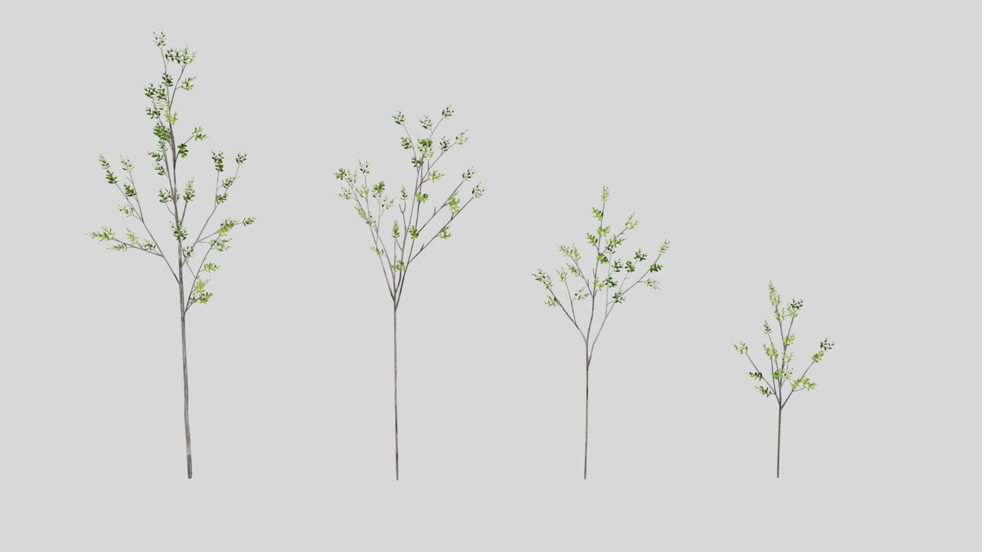 branch - 3D model by GGGP (@gggp999) [5237d11] - Sketchfab