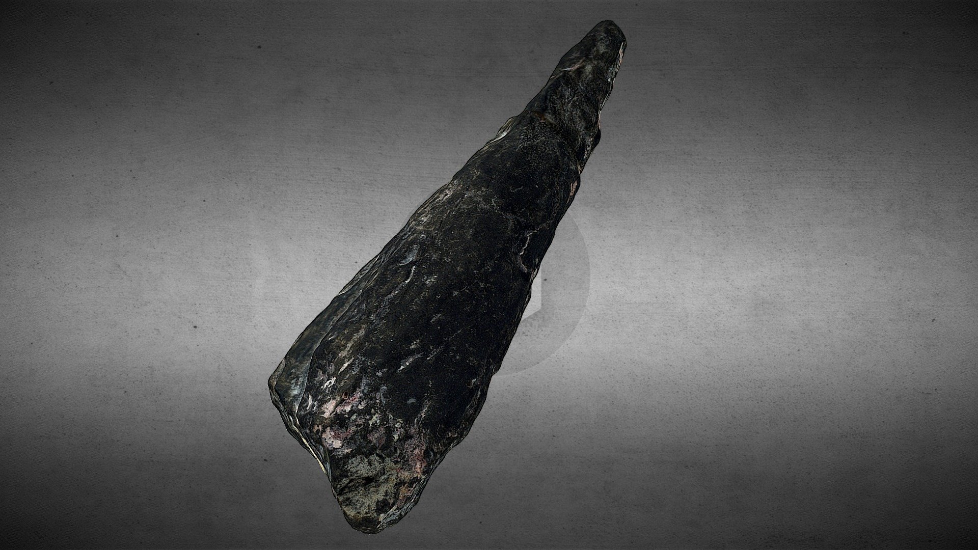 Pinna sp. - 3D model by paleontologiaudec [5240130] - Sketchfab