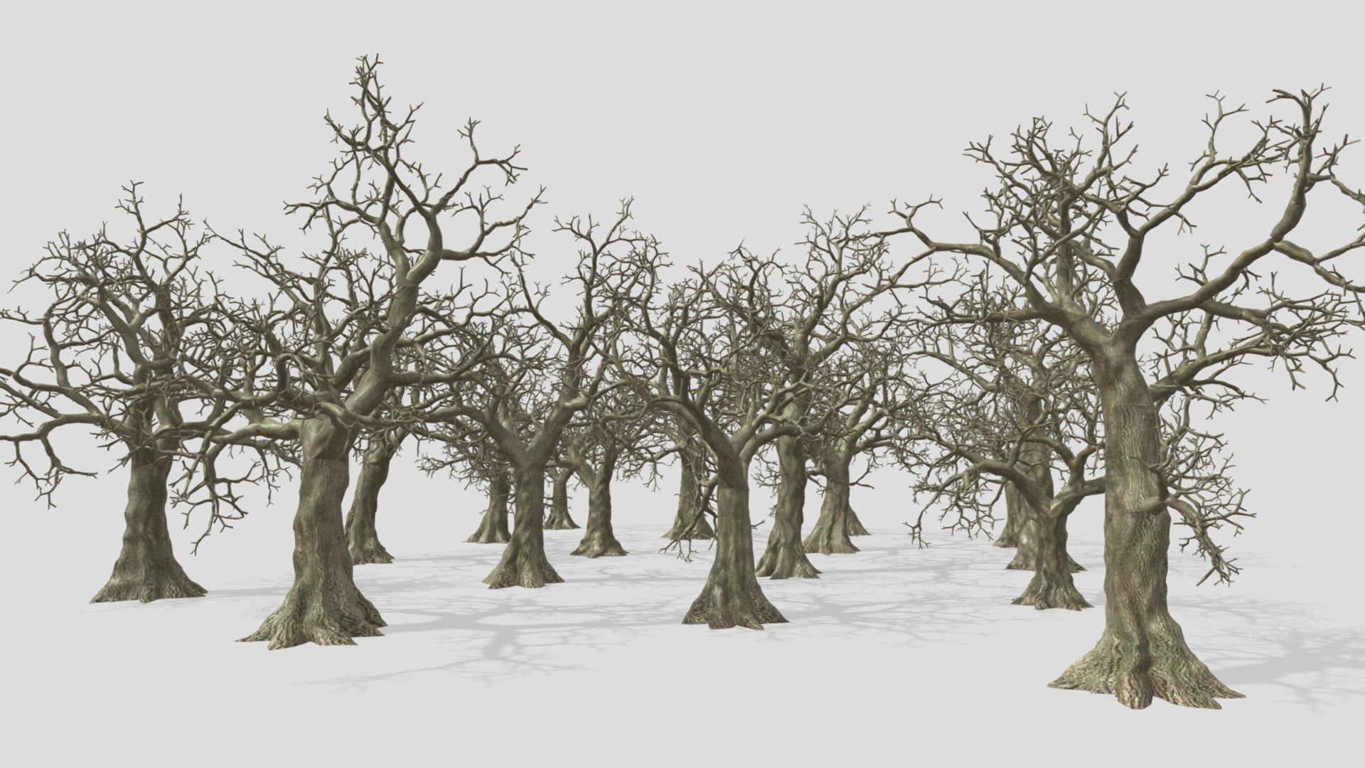 16 Linden-Trees Pack (medium-Poly) - Download Free 3D model by Sereib ...