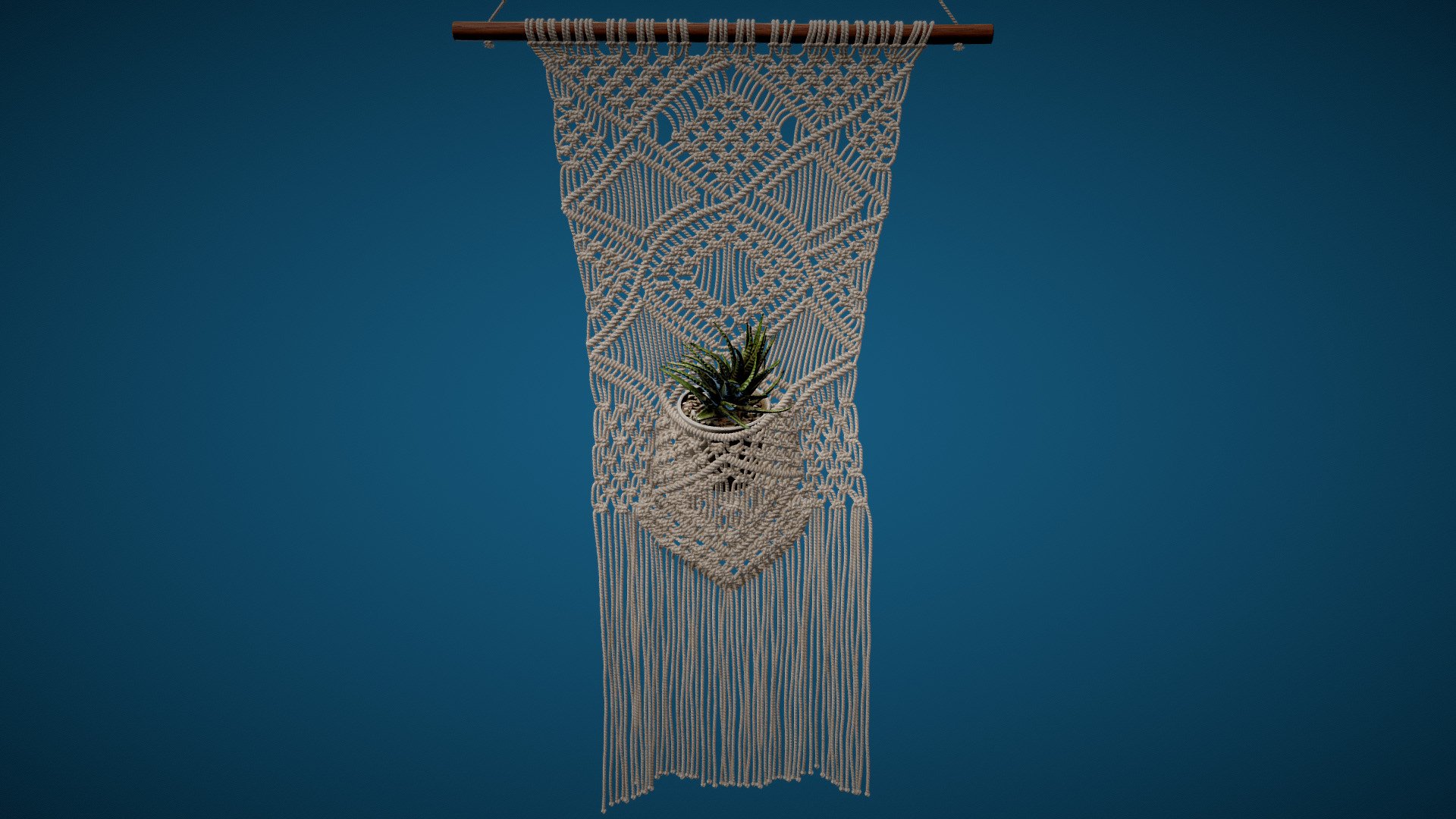 Macrame with Succulent Plant - Buy Royalty Free 3D model by romullus [5249b71] - Sketchfab Store