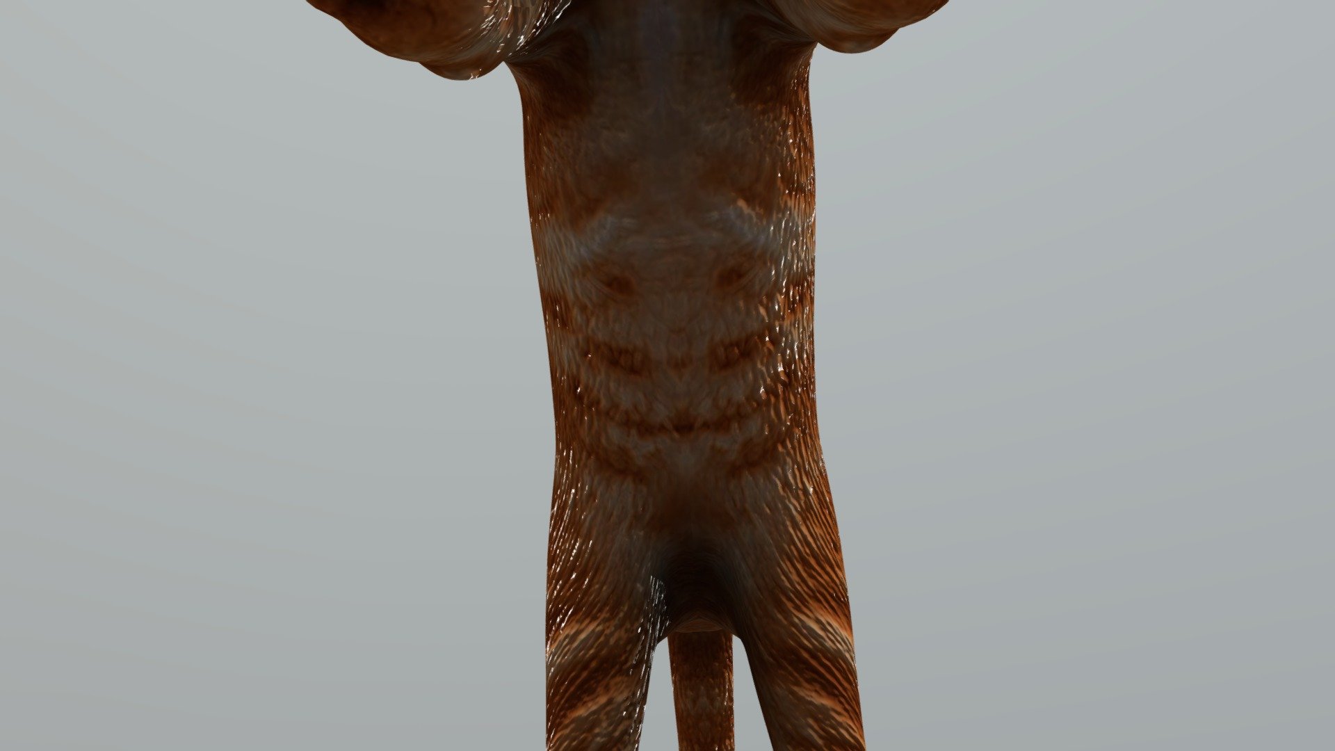 Cat - 3D model by blaze3D [524b0cb] - Sketchfab