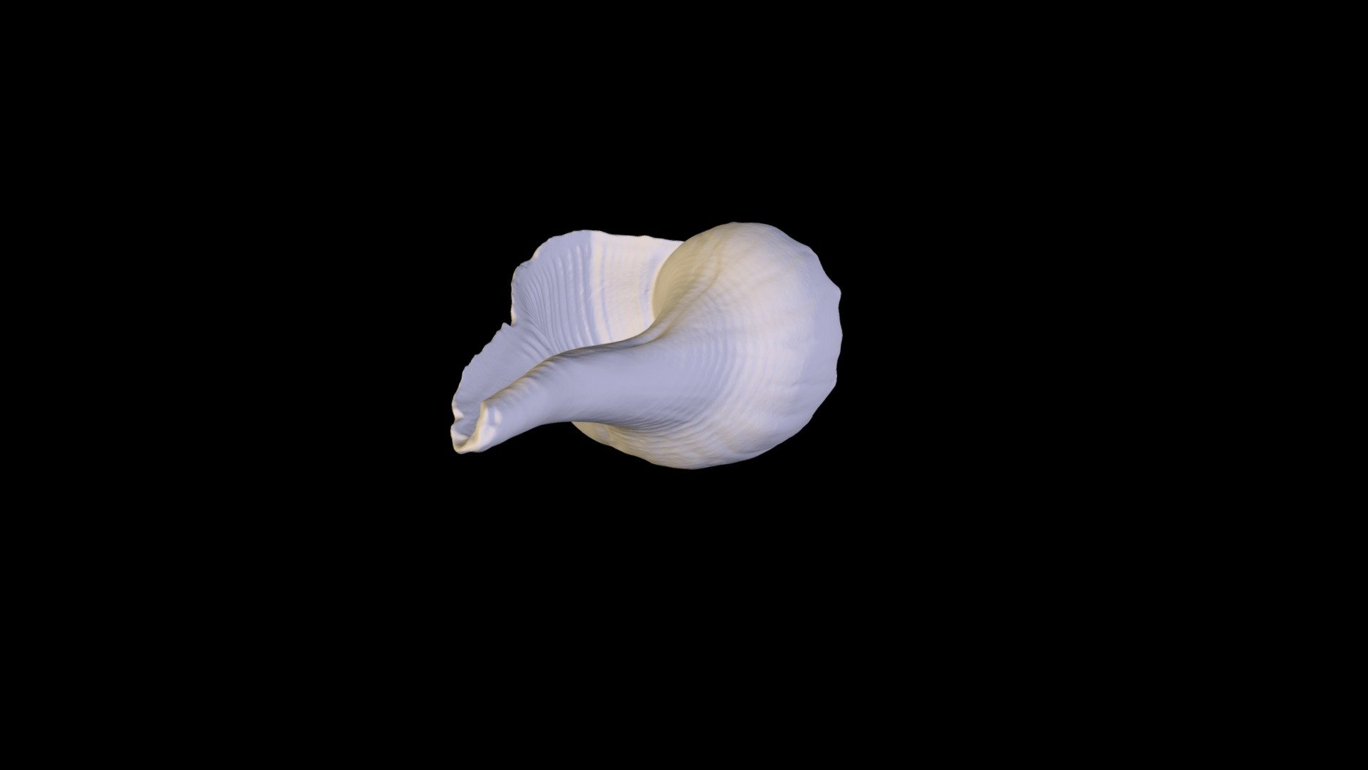 Katherine Whitehouse- Final Shell 3D Scan - 3D model by ...