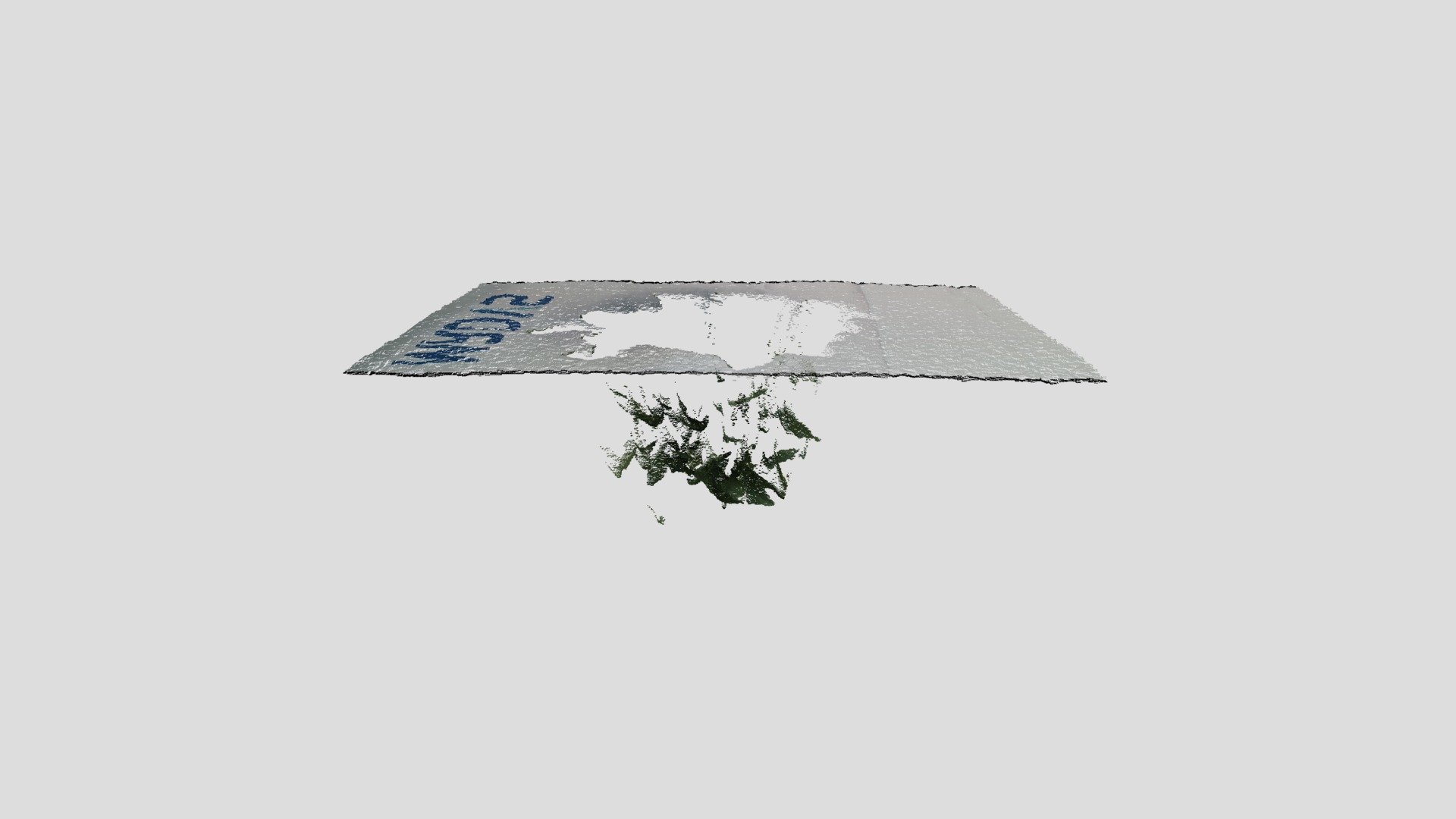 Baby Plant_Overhead view - Download Free 3D model by MRDVS Technology ...