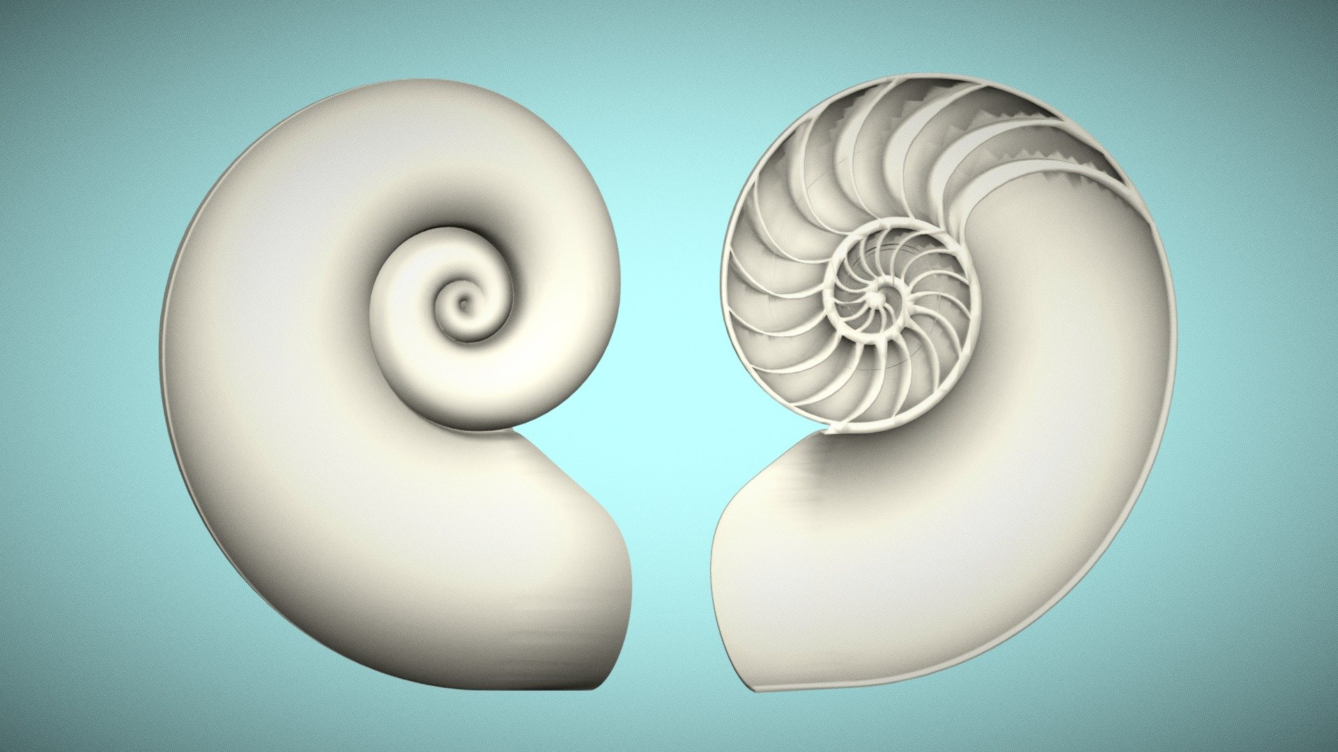 Nautilus - 3D model by EVE3D UNAM (@eve3d_unam) [5260687] - Sketchfab